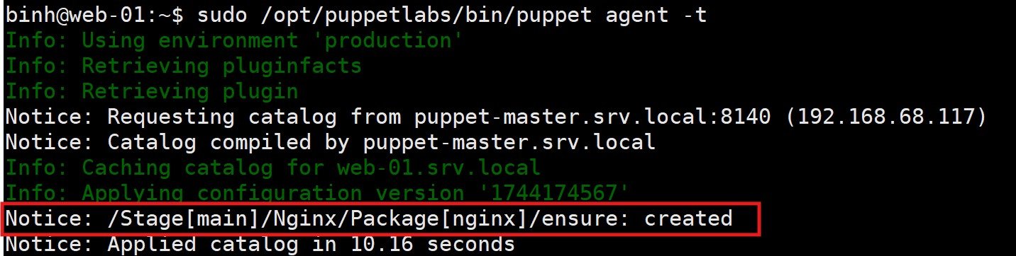 Setup Puppet 8 on Ubuntu 24.04 – Configuration Management for a scaling ...