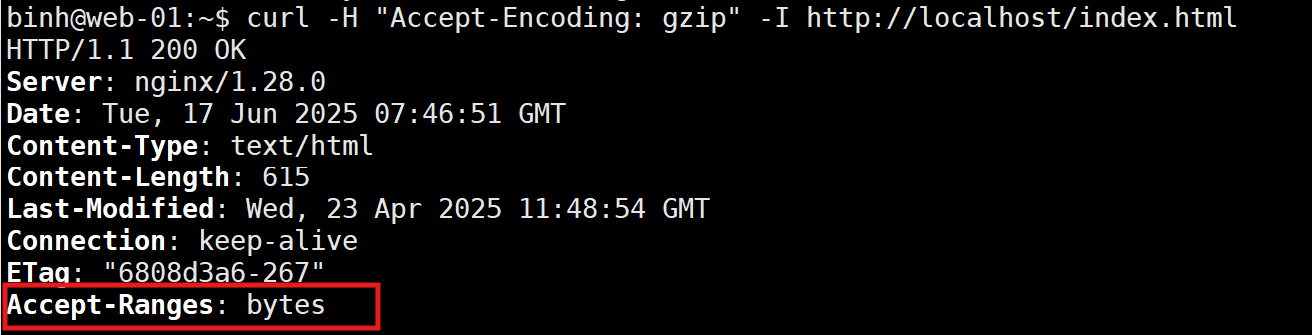 Optimize AWS Data Transfer Costs with Nginx Gzip Compression – Turn ...
